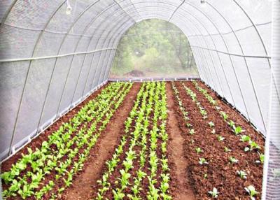 China Max 3200mm Width White Agricultural Nonwoven Fabrics Perfect for Insect Repellent and Dustproofing for sale