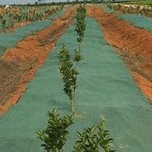 中国 耐久性があり 呼吸が透ける ガーデン・ファーム用 雑草防護布 販売のため