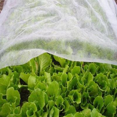China Hygiene Agriculture Industry PP Nonwoven Fabric Hydropilic / Hydrophobic for sale