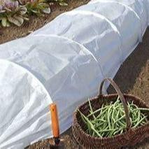 중국 작물 재배용 농업용 부직포 중국 공장 직판 수출 판매용