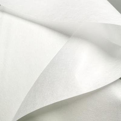 China China Export Electrostatic Water based Meltblown Nonwoven Factory Manufacture for sale
