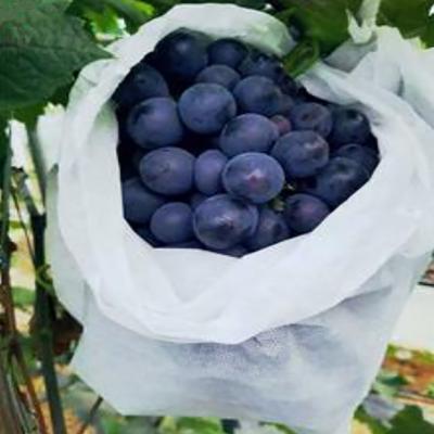 China Grape Banana Agricultural Nonwoven Fruit Sleeves Breathable for Wrapping Bags for sale