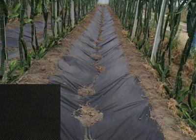 Cina Del polipropilene di agricoltura panno 100% di maglia della rete della copertura al suolo del diserbo del tessuto non in vendita