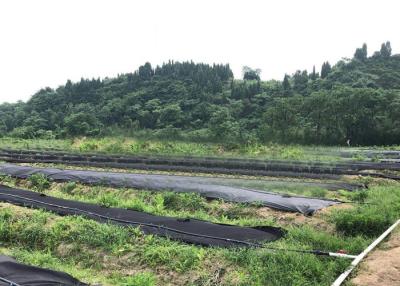 China Landscaping Agriculture Non Woven Fabric / Recycled Polypropylene Fabric for sale