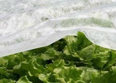 中国 Degradable農業の非編まれた生地20gsm -根のための100gsmは袋に入れます 販売のため