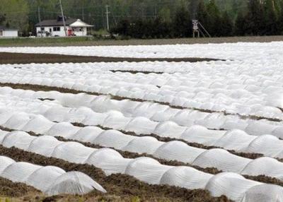 中国 Ecoの利用できる1% - 4%紫外線扱われたOEM/ODMが付いている友好的な農業の非編まれた生地 販売のため