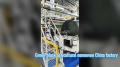 Two-color green-black agricultural nonwoven for vegetables fruit trees OEM