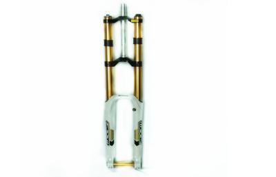zoom fork