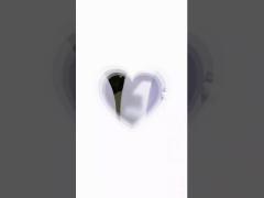 Kyrie Video 2