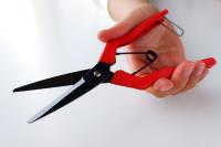 China Multifunctional Kitchen Scissors Ambidextrous Design Micro Sawtooth Blade for sale