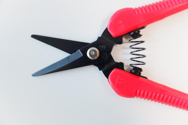 Quality SINSEUNG P4 Plastic Handle SK5 High Carbon Steel Scissors Pruning for sale