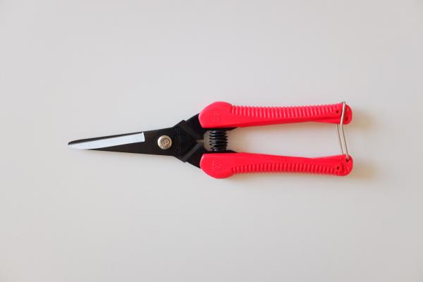 Quality Lock Scissors Plastic Handle Housework Scissors With Safety Lock for sale