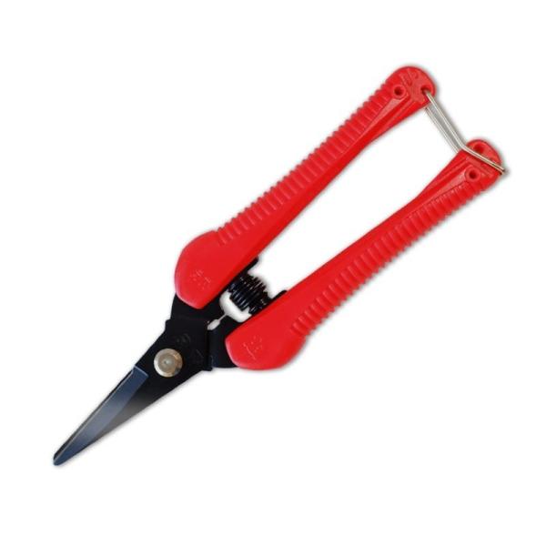 Quality SINSEUNG P4   Plastic Handle SK5 High Carbon Steel Scissors Pruning for sale