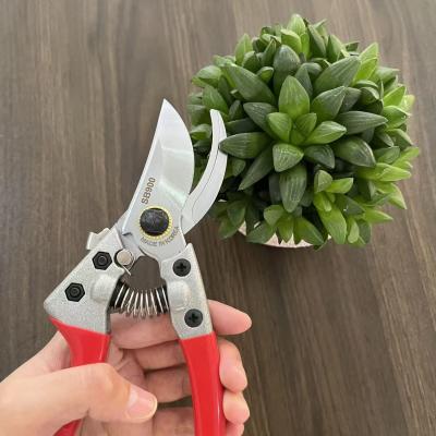 China Professional SK5 High-Carbon Steel Pruning Shears with HRC 58-59 Hardness and Secure Locking Mechanism for Garden Scissors for sale