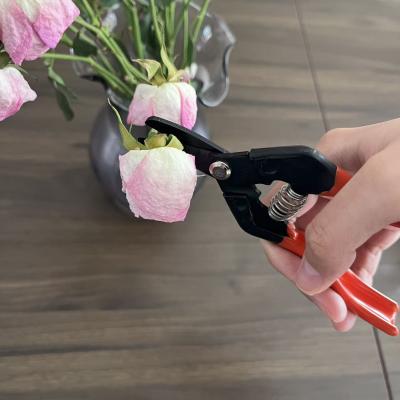 China Heat Treated SK5 High Carbon Steel Garden Scissors with HRC58-60 Hardness for Fruit Picking and Pruning for sale