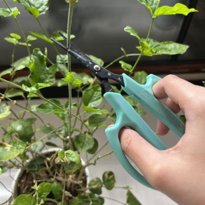 China 160mm Scissors Length Garden Tools Stainless Steel Blades Material Free Samples Garden Scissors for Trimming and Pruning for sale