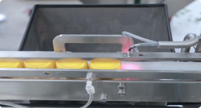 중국 GX-16-12TS 고속 후속형 통합 채팅 캡 머신 10000BPH 380V 6KW 판매용