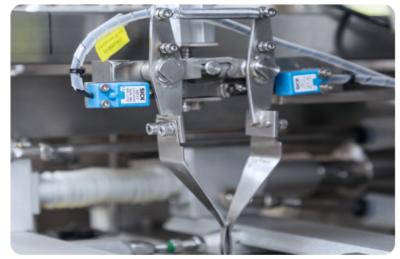 China Agricultural Chemical DGD-280AJ Single Heasd Fully Automatic Horizontal Bagging Machine for sale