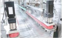 China FXG-1 Automatic Capping Machine 1500 BPH for 5-30L Drums with Schneider Controls for sale
