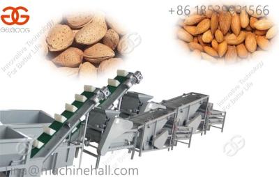 China Large capacity Apricot shelling machine for sale in factory price almond hulling machine supplier for sale