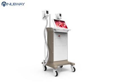 China -15oC low temperature cool sculpting cryoliplysis body slimming  weight loss machine for sale