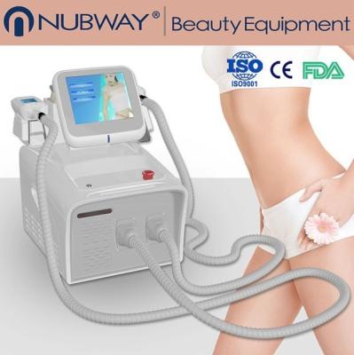 China Portable Cool Therapy Lipo Cryo Fat Freezing Machine for sale