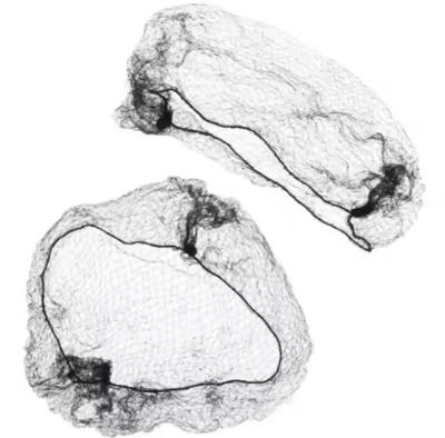 China Hubei Haixin Disposable Nylon Breathable Hairnet Cap Anti-spreading Industry CE Food Hair Net Hat Factory Wholesale Mov Caps for sale