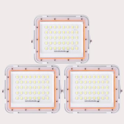 Cina Luci di inondazione all'aperto del punto della famiglia LED 8000k IP65 impermeabile in vendita