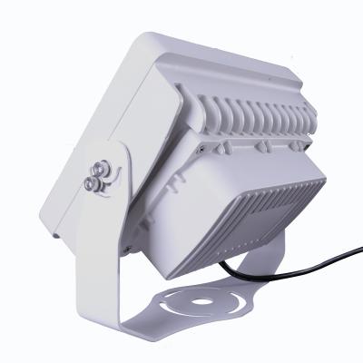 Cina Macchina fotografica infrarossa di sorveglianza di DC12V 60W che accende IP65 in vendita