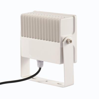 Cina Lampadina Light 20W di IR della macchina fotografica del IP del CCTV di visione notturna IP66 in vendita