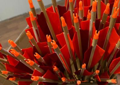 Chine ID.245 », épine de 6.2mm 250/300/340/400/500/600 .003-.001" flèches traditionnelles en bois de lumière de rectitude à vendre