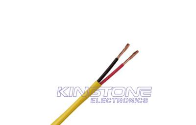Cina 20 AWG 2 Cores Audio Cable , Stranded Bare Copper UL CMR PVC Speaker Cable in vendita