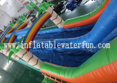 Cina Acquascivolo gonfiabile del PVC della tela cerata della giungla commerciale di verde con il piccolo stagno in vendita