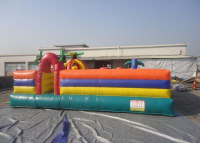China Plato-van het Geteerde zeildoekkinderen van pvc Opblaasbaar de Pretpark met Dia en Tunnel Te koop