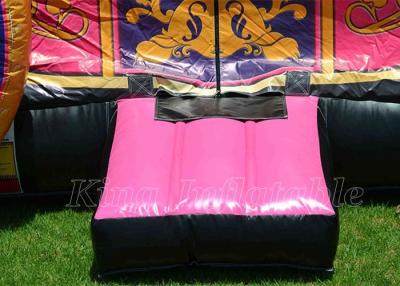 China Casa inflável do salto do jogo das crianças dos leões-de-chácara da princesa Pink Bouncy Castle combinado com corrediça à venda