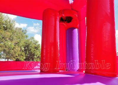 Cina Le ragazze gonfiabili rosa del gioco all'aperto della Camera di rimbalzo fanno festa il castello rimbalzante dei buttafuori in vendita