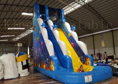 China Kinderen/Volwassen Blauwe Opblaasbare Waterdia met Steeg Twee 1 Jaargarantie Te koop