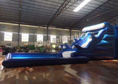 Cina Acquascivoli enormi Platone durevole gonfiabile del delfino blu tela cerata del PVC da 0,55 millimetri in vendita