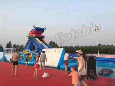 China 2 Years Warranty Animal Inflatable Water Parks With Frame Pool / Cartoon Slide for sale