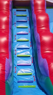 China Customized Outdoor Waterpark Slides Amusement Playground Equipment Comercial Water Slides for Kids for sale