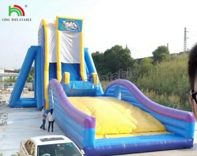 China Commercial Party Rental Interesting Crazy Blue Inflatable Water Slide  for Kids and Adults for sale