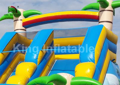 China 8*4m de Dia van het de Jonge geitjeswater van de Regenboogpalm met Beeldverhaaldruk voor Huur/Opblaasbare Natte Dia Te koop