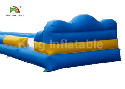 Cina Acquascivolo gonfiabile blu di Stype del drago grande per gli adulti in parco acquatico in vendita