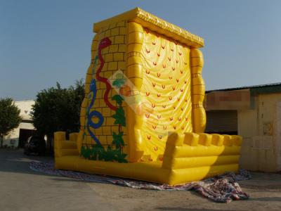 China Climbing Wall Inflatable Sports Games for sale