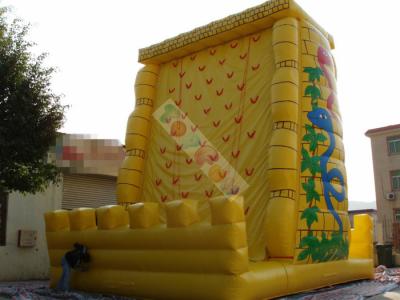 China Climbing Wall Inflatable Sports Games for sale