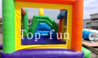 China Amusement Park Inflatable Jumping Castle for sale