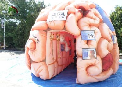 Cina Organi artificiali della replica gonfiabile del cervello del gigante 4m per lo SGS educativo EN71 in vendita