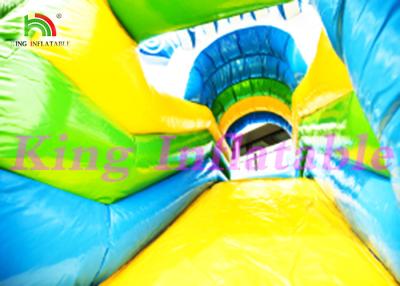 China castelo de salto inflável de Multiplay de encerado do PVC de 0.55mm com os animais da corrediça e de mar à venda