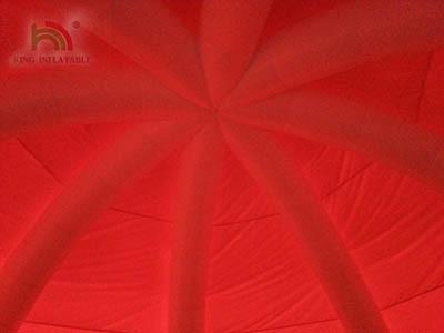 Cina Tenda gonfiabile rosa di evento per la tenda di campeggio esplosione/di promozione in vendita