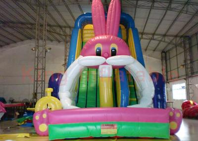 China Playground Funny Inflatable Dry Slide , Outdoor Multicolor Inflatable Animals Slide for sale